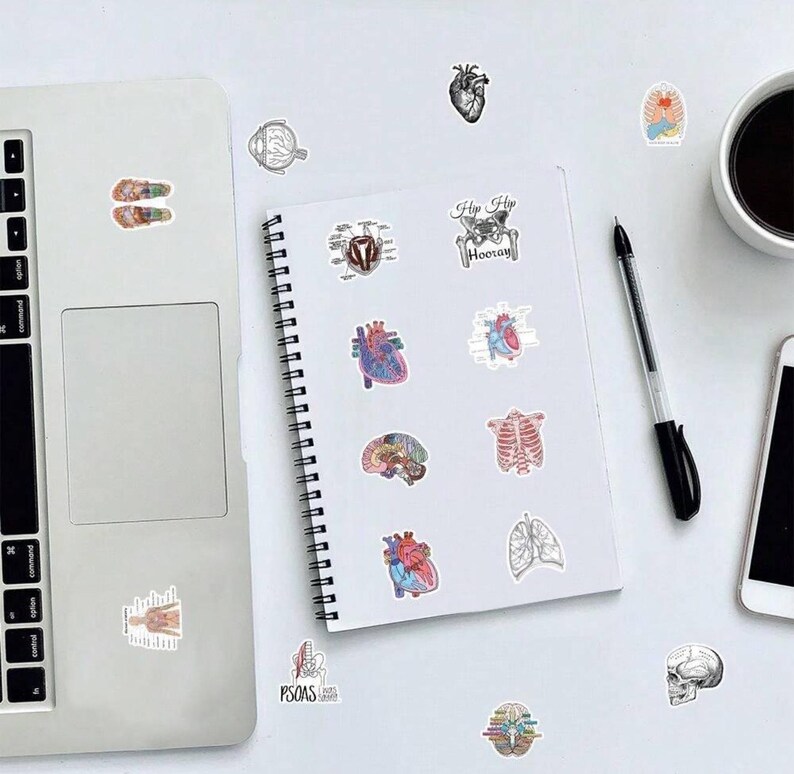 50pcs Anatomy Science Stickers,die Cut Stickers,anatomy Stickers,human ...