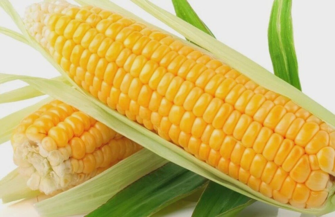 Early Golden Bantam Sweet Corn Seeds, NON-GMO, Heirloom, Free Shipping ...