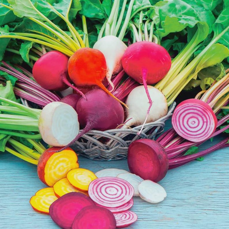 Rainbow Mix Beet Seeds, 4 Species, (detroit Dark Red & Golden, Chioggia ...