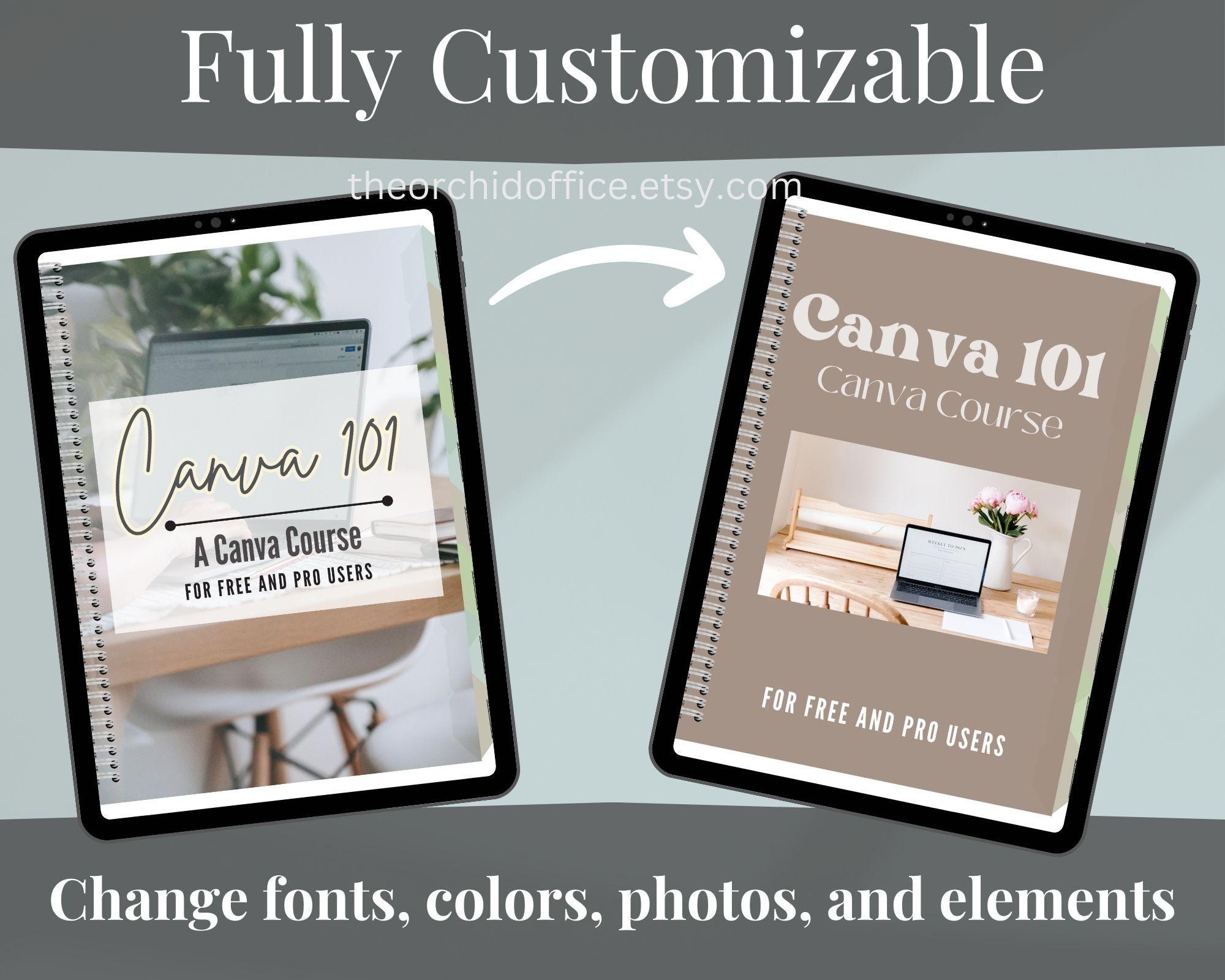 Canva Guide for Beginners Social Media Business Template Video Tutorial ...