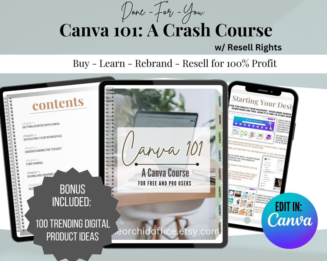 Canva Guide for Beginners Social Media Business Template Video Tutorial ...