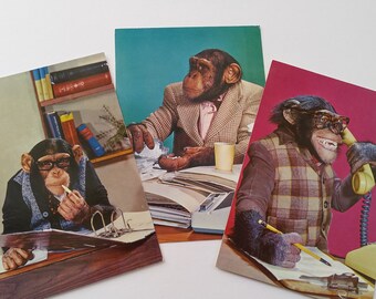 Monkey Post Cards - Etsy