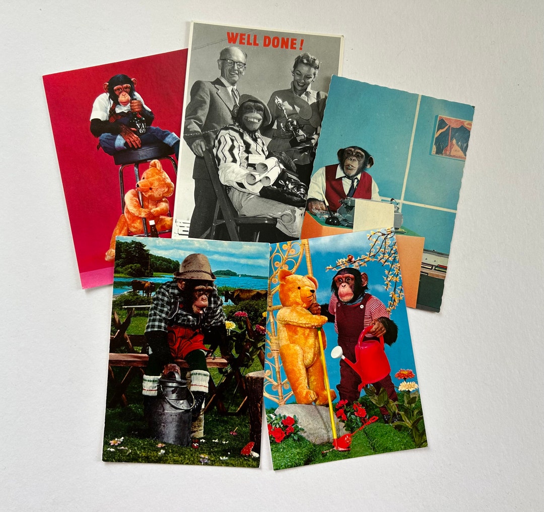 UNUSED Set of 5 Vintage Chimpanzee Postcards / New Old Stock 1980s ...