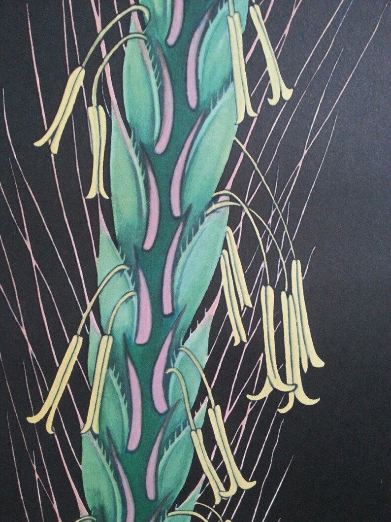 SCHOOL Chart RYE Original 1970s Vintage Botanical Print - Etsy