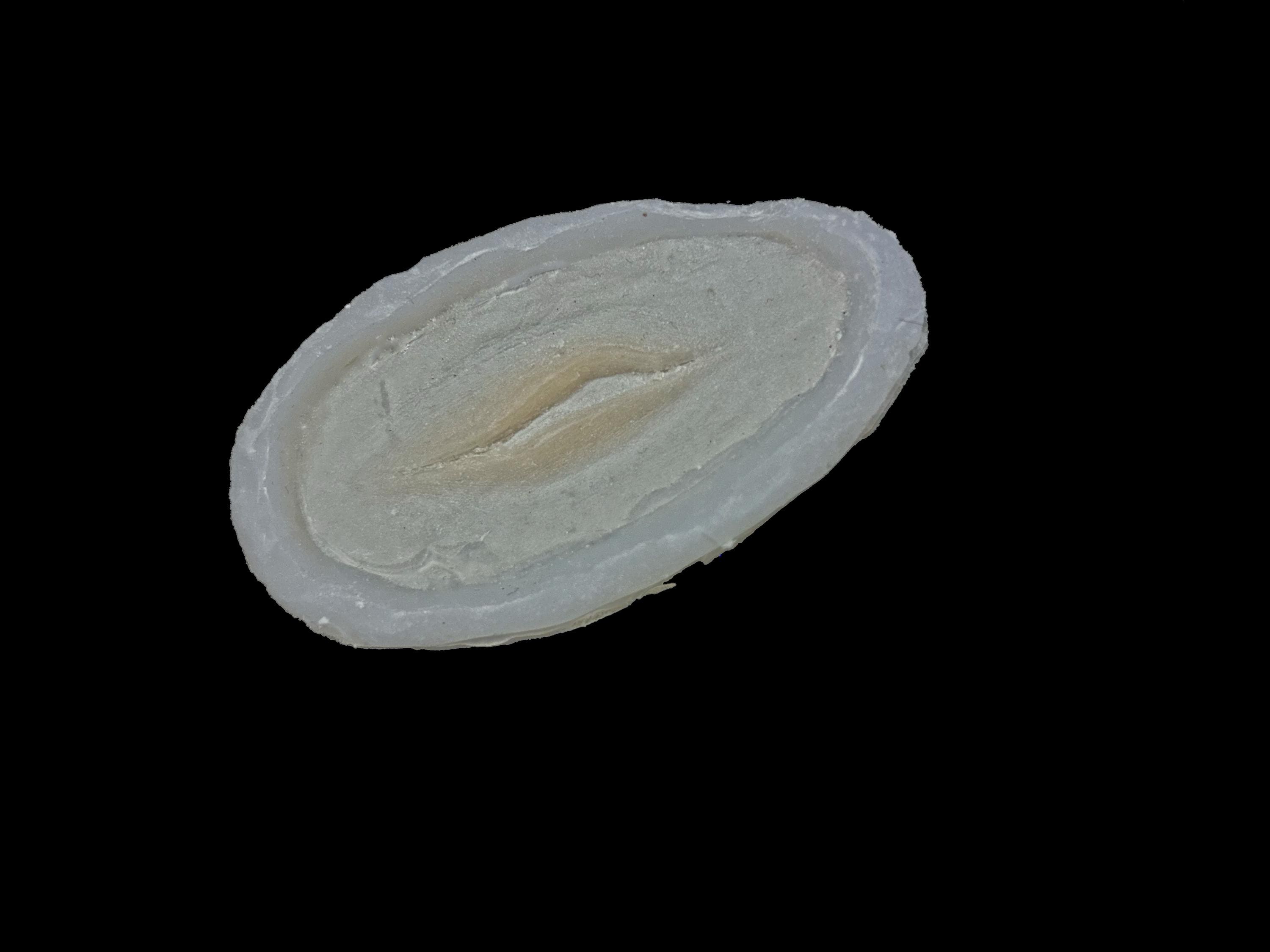 5-piece Small Prosthetic Cut Set – Realistic Wound FX for SFX Makeup ...