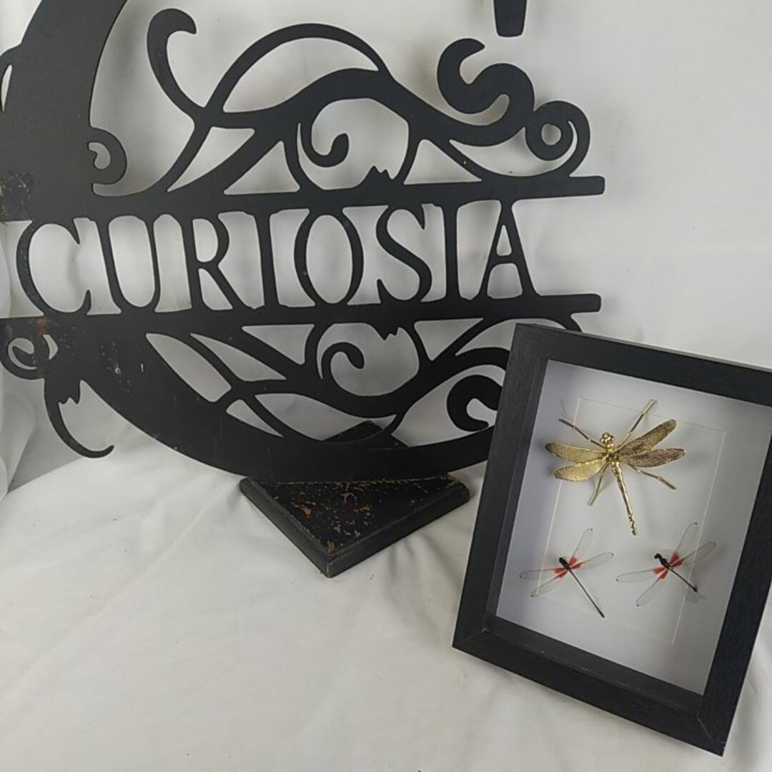 Dragonflies Frame - Etsy