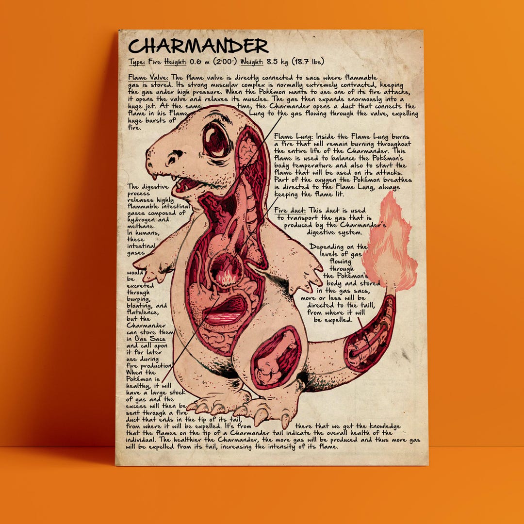 Pokemon Poster Charmander Anatomy Poster Pokenatomy Charmander Pokemon ...