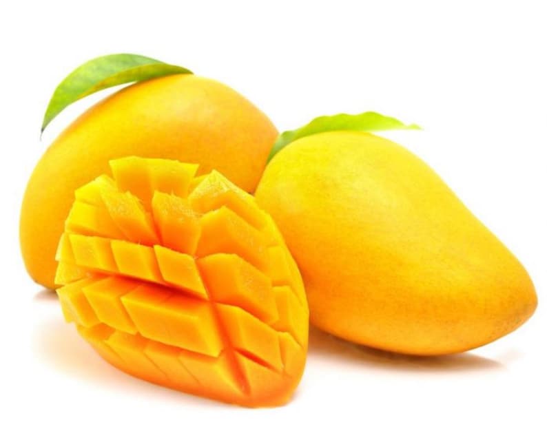 Mango MANILA, CARABAO, FILIPINO Tree, Grafted, 3gl - Etsy