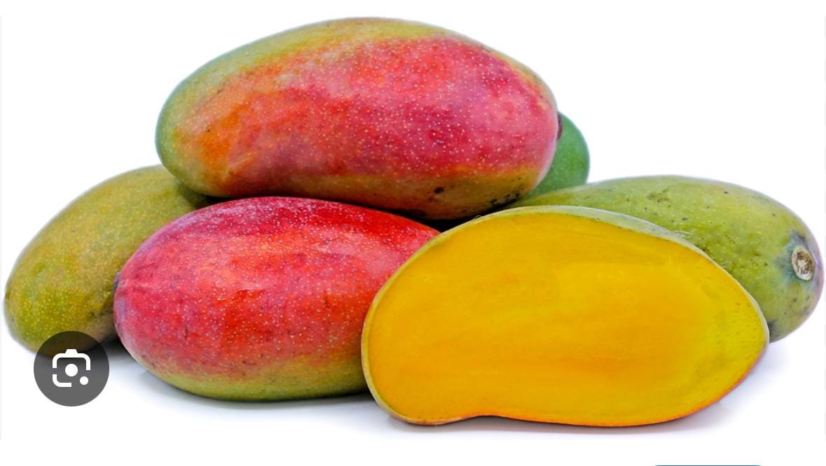 Mango VALENCIA PRIDE Tree, Grafted, 3gl - Etsy