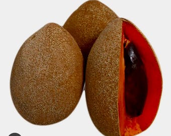 Mamey Sapote - Etsy