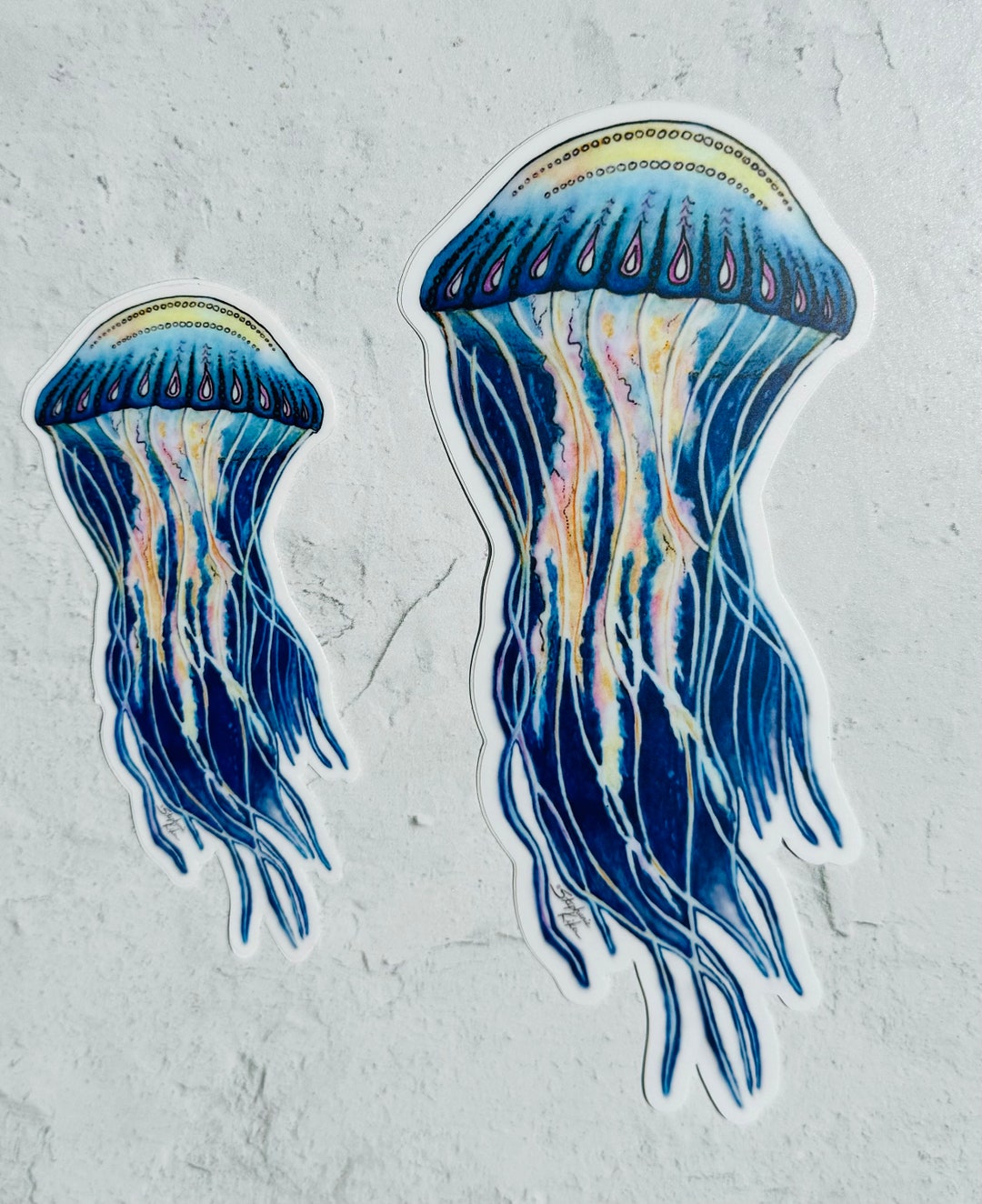 Jellyfish Sticker, Decal for Cars, Sticker for Water Bottles, Jellyfish ...