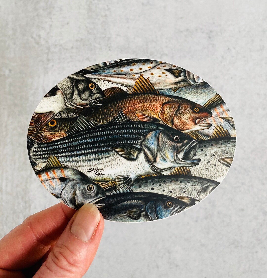 Surf Fish Sticker, Decal for Cars, Water Bottles, Skateboards ...