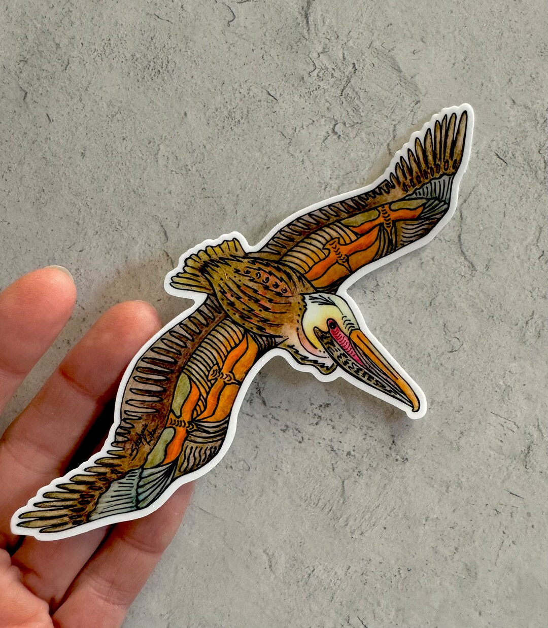 Flying Pelican Sticker, Decal for Cars, Water Bottles, Skateboards ...