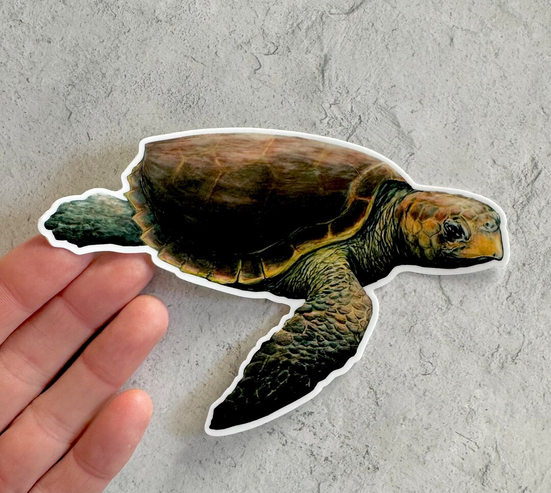 Loggerhead Turtle, Realistic Turtle, Sticker, Decal for Cars, Sticker ...