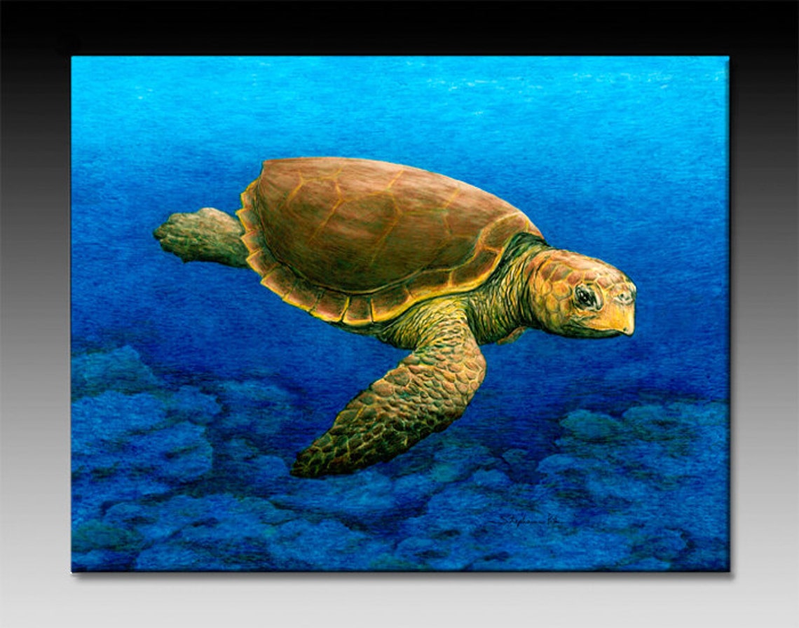 Loggerhead Turtle Art Ceramic Tile Wall Art | Etsy