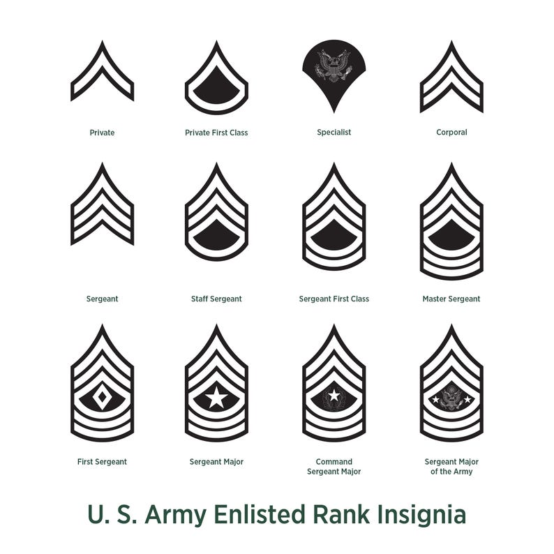 American Military Enlisted Ranks - SVG, DXF, EPS, Pdf, Png - Instant ...