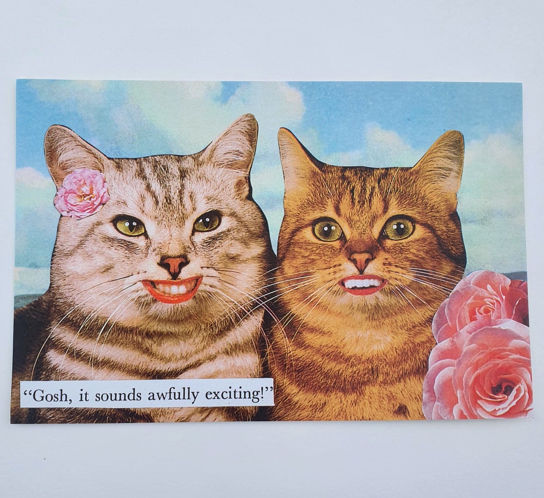 Cheesy Cats Postcards, Set of Four, Collage Prints - Etsy