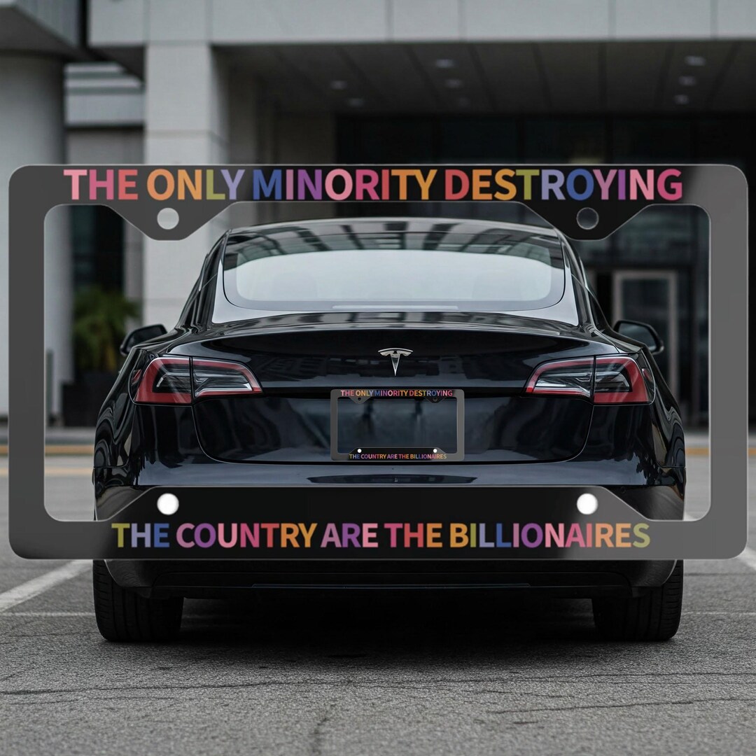 Custom License Plate Anti Billionaire, the Only Minority, People Over ...