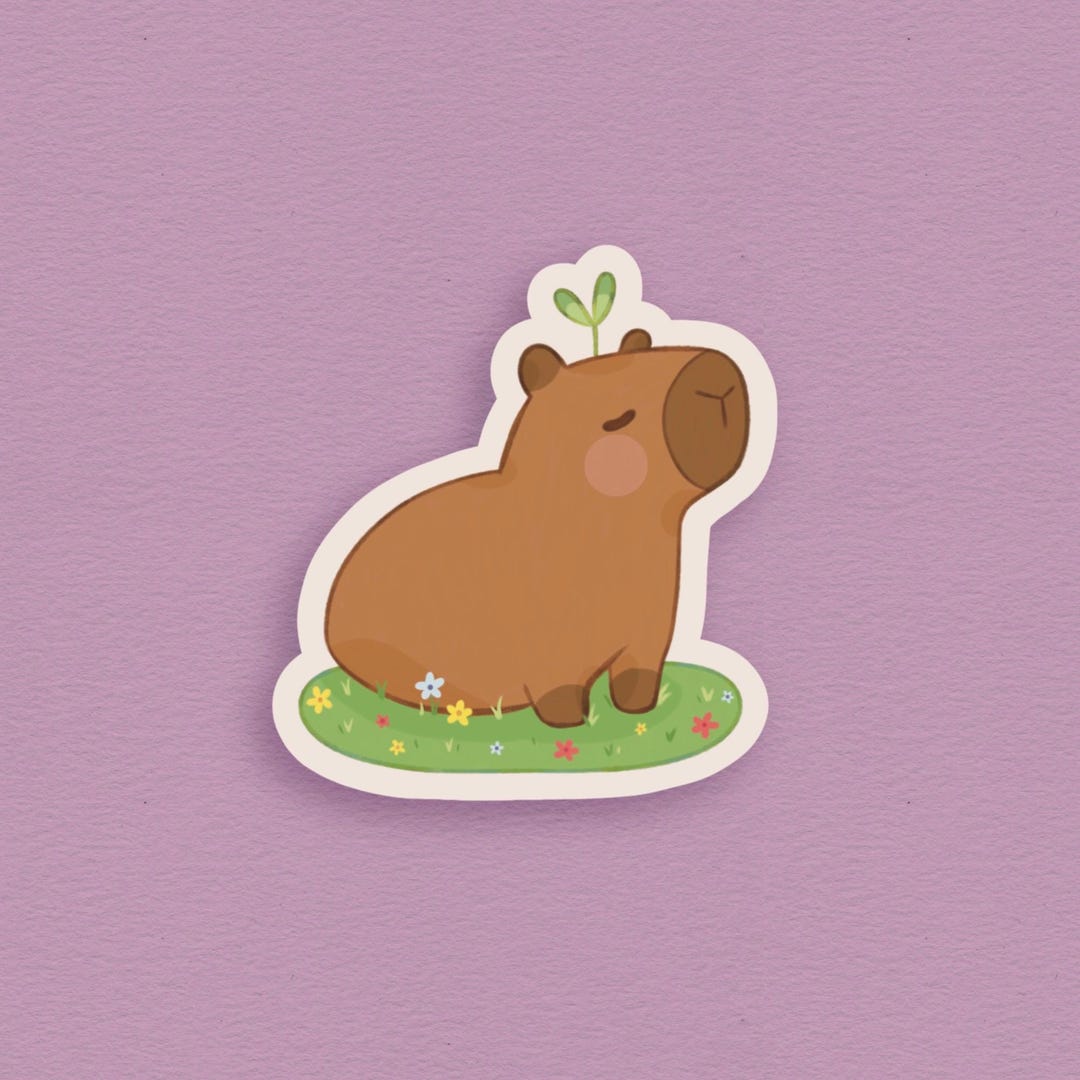 Capybara Sticker colorful Vinyl 2 Inches - Etsy