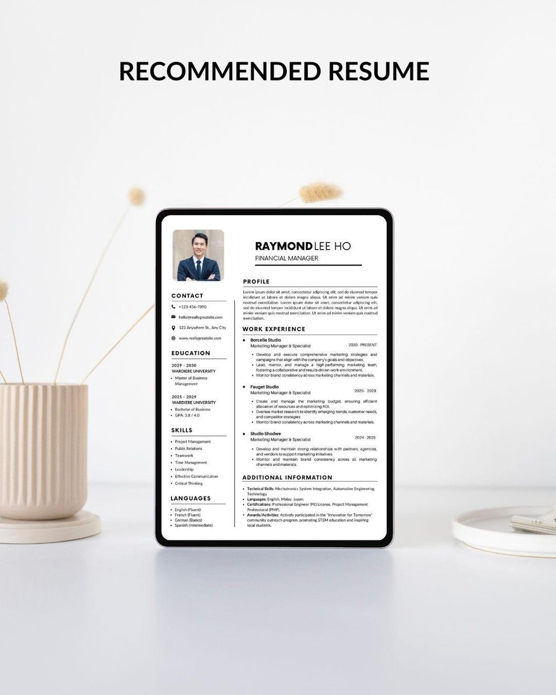 PROFESSIONAL RESUME TEMPLATE - Etsy