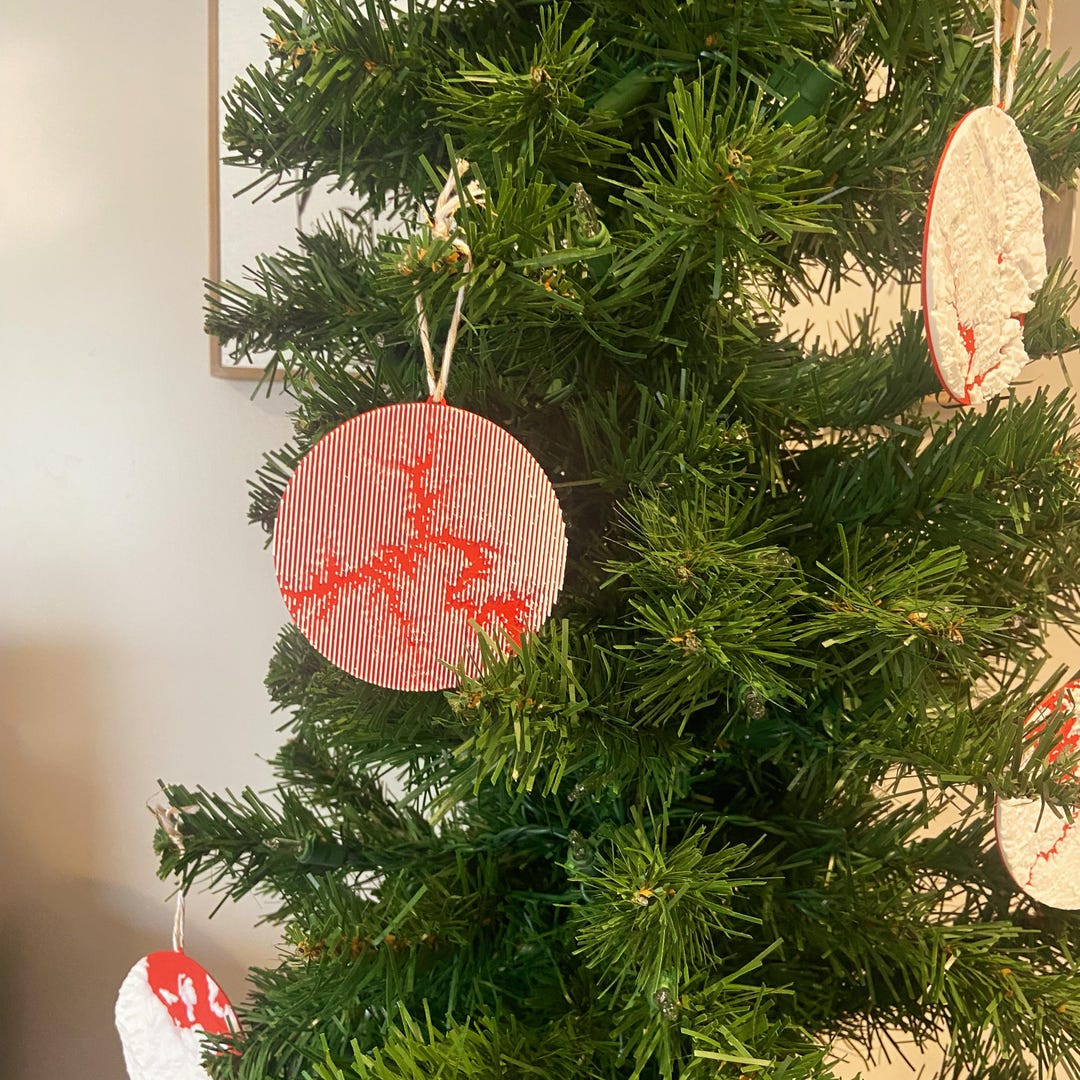 National Park Topographic Christmas Ornament - Etsy