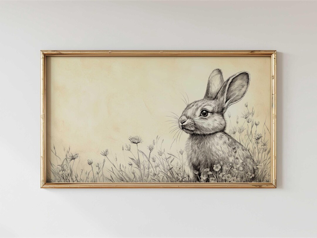 Vintage Rabbit Sketch Digital Art for Frame TV | 4K Nature Drawing ...
