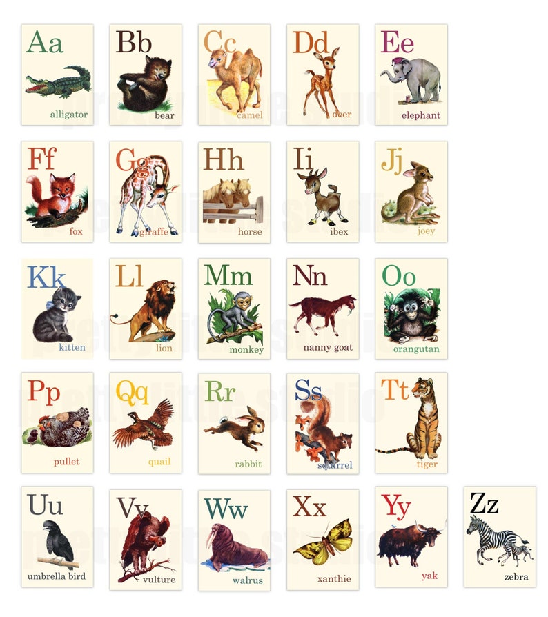 Wild Animal ABC Alphabet Vintage Style Flash Cards Deer - Etsy