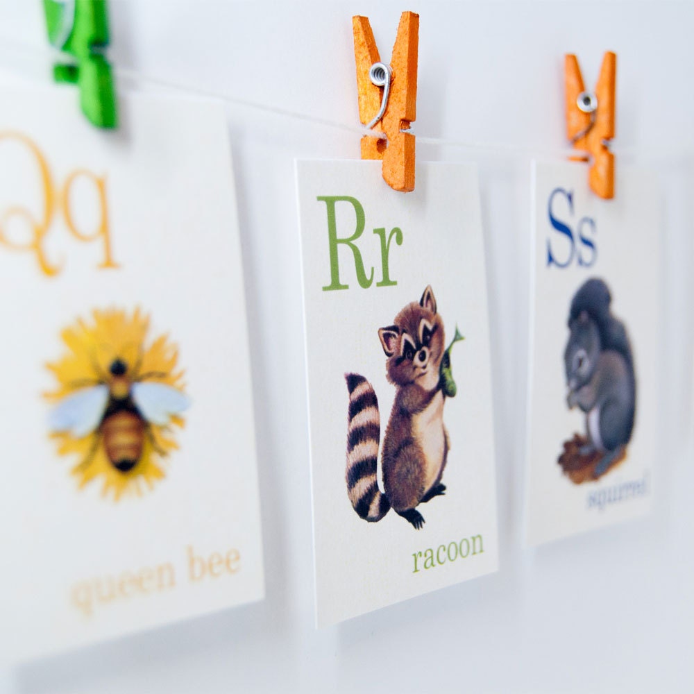 Animal ABC Alphabet Retro Vintage Style Flash Cards Raccoon - Etsy