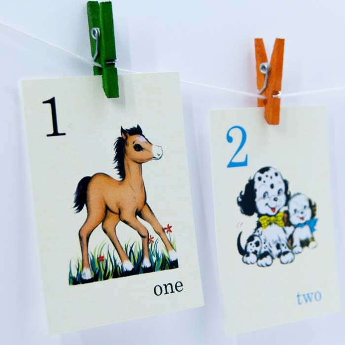 Counting From 1-15 Flash Cards Set of 15 Choose Your Size - Etsy