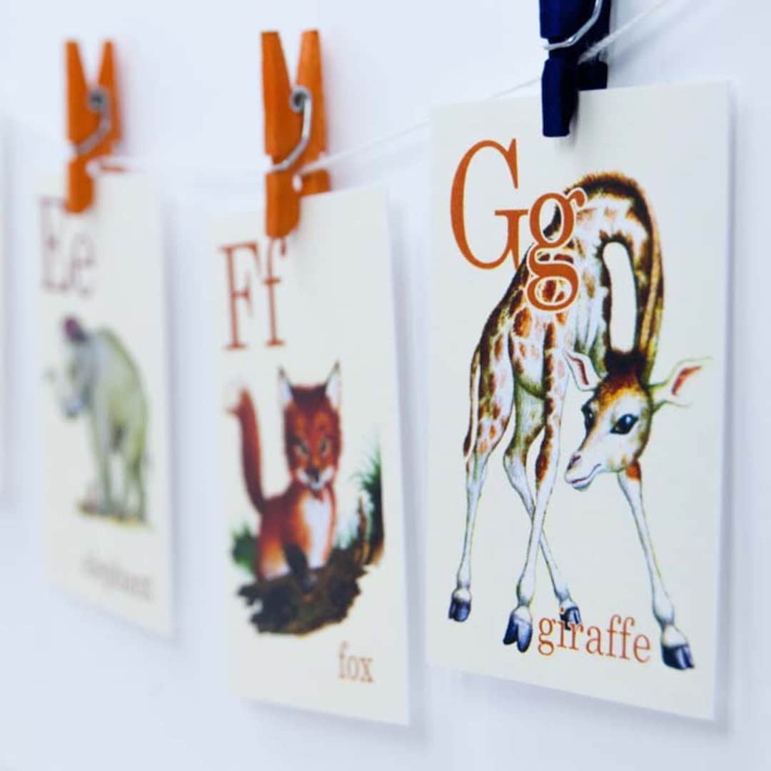 Wild Animal ABC Alphabet Vintage Style Flash Cards Deer - Etsy