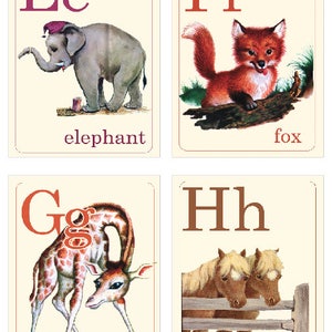Digital Print at Home 3x4 Wild Animal ABC Alphabet Flash Cards Vintage ...