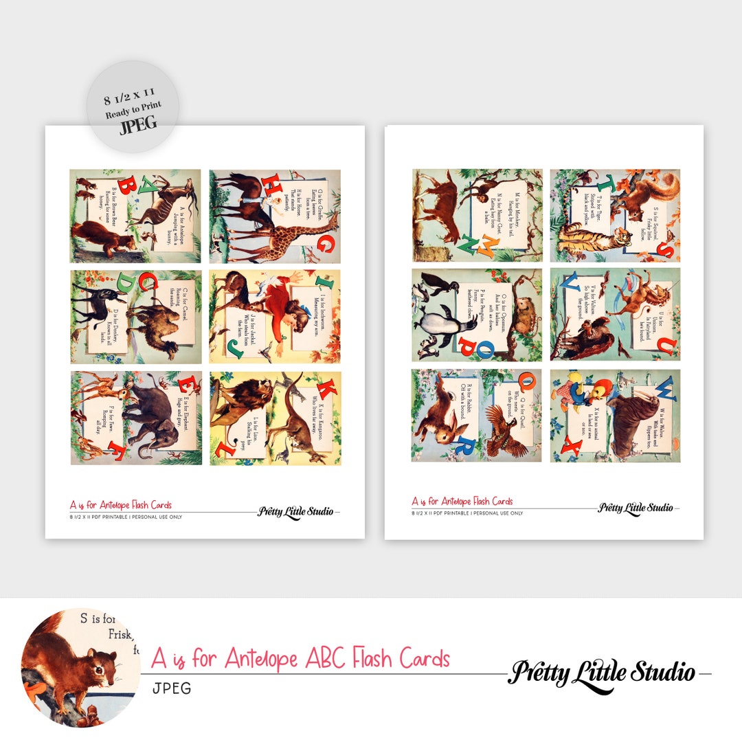 Digital Print at Home ABC Wild Animal A is for Antelope Flash Cards ...