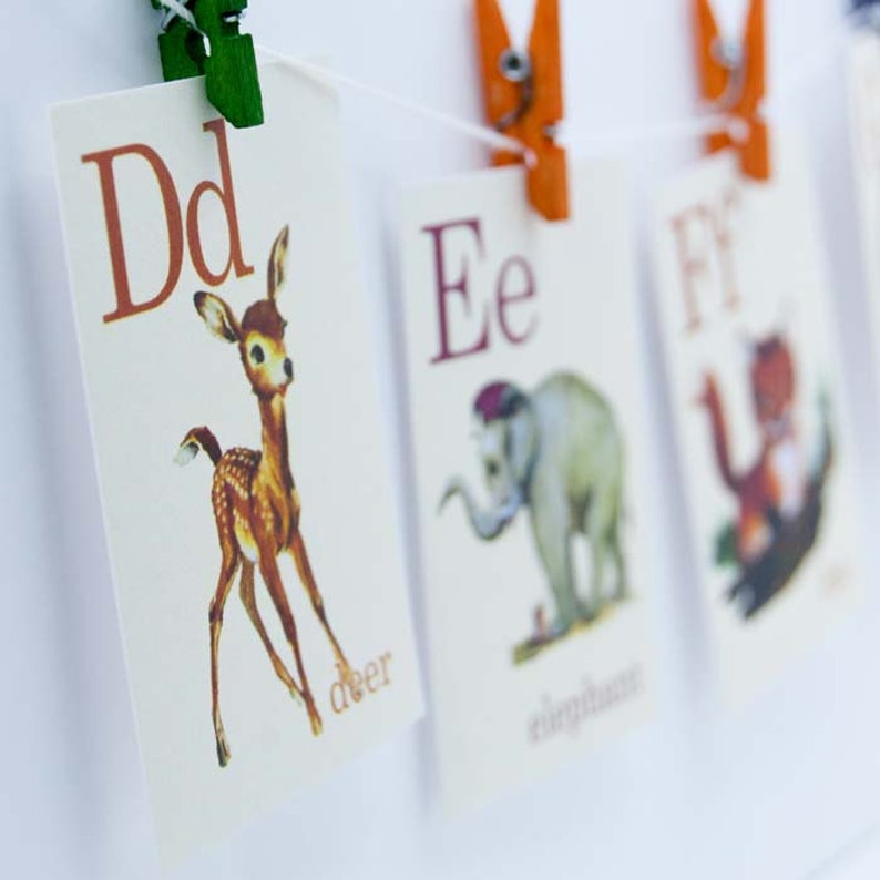 Wild Animal ABC Alphabet Vintage Style Flash Cards Deer - Etsy