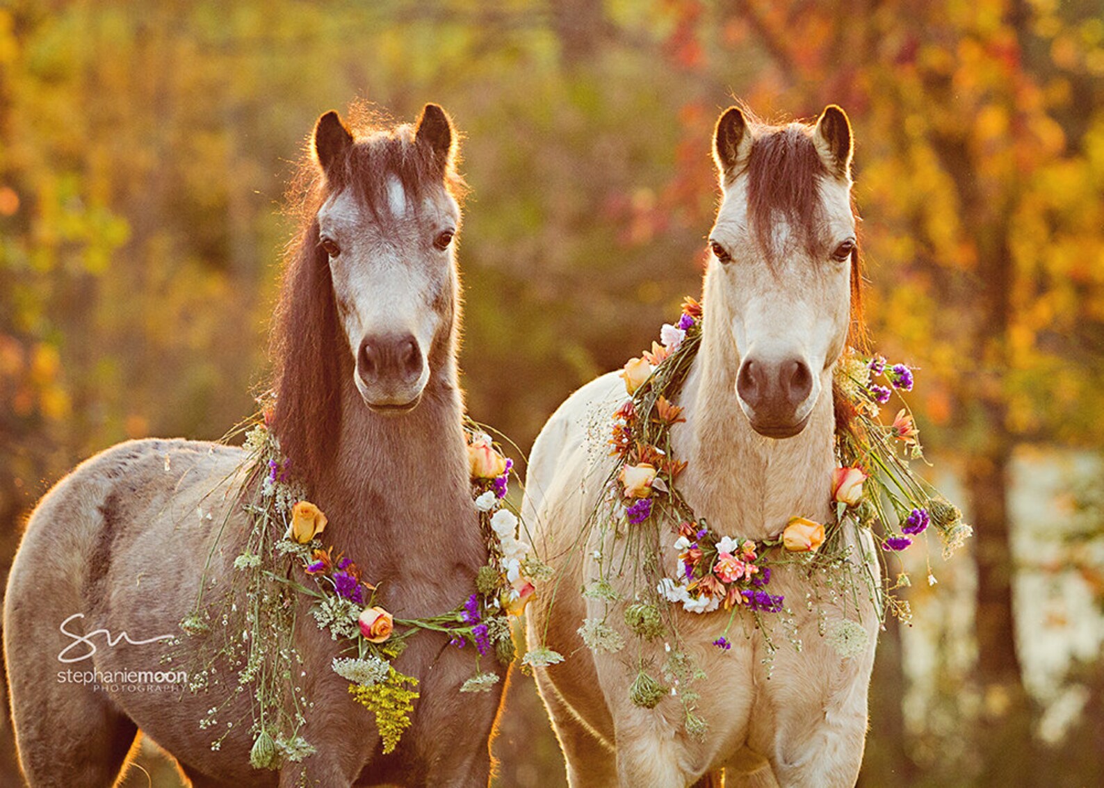 Horse Photography, Two Ponies With Flowers, Flower Pony Picture, Girl's ...