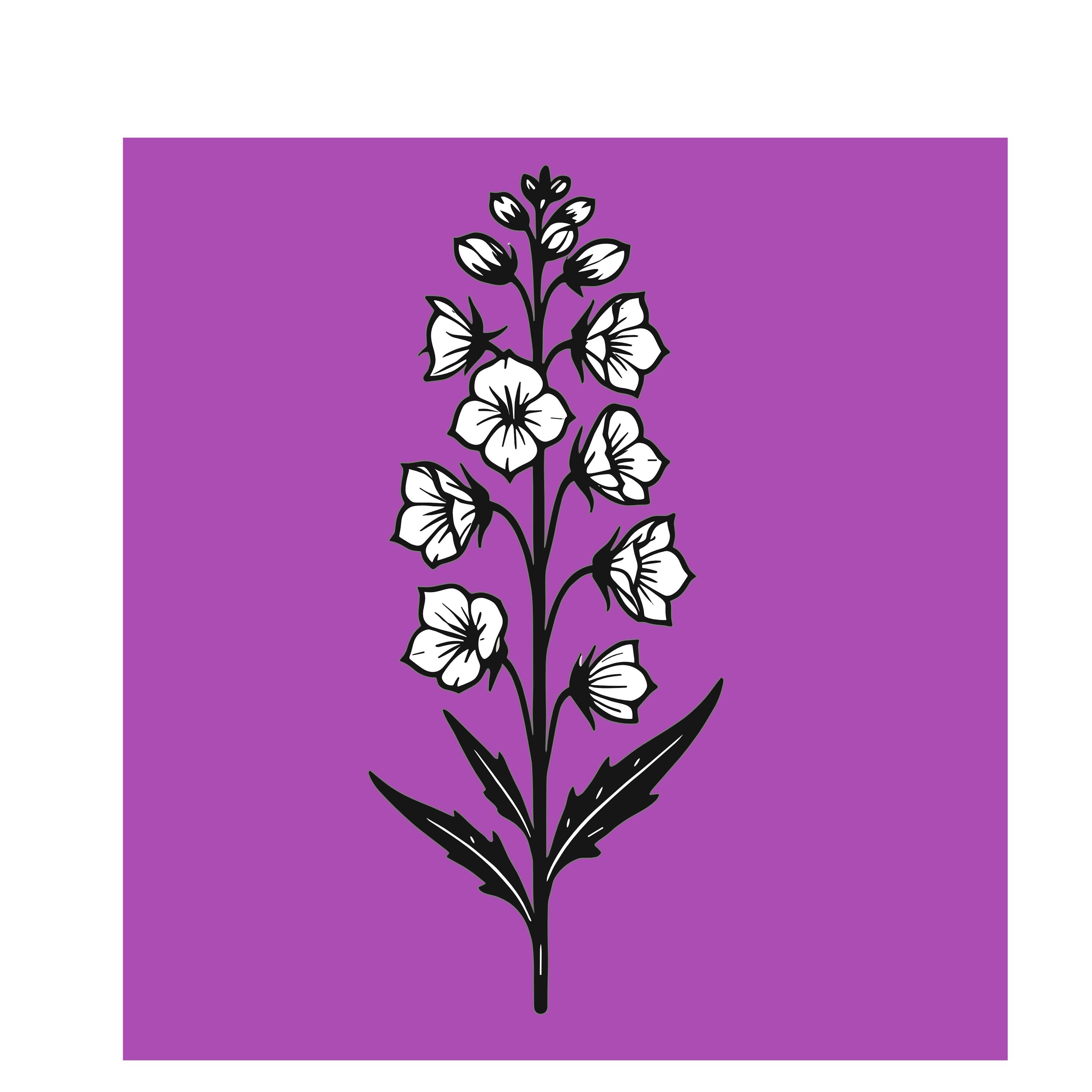 July Birth Flower SVG and PNG Simple. Larkspur Flower SVG Cut File ...