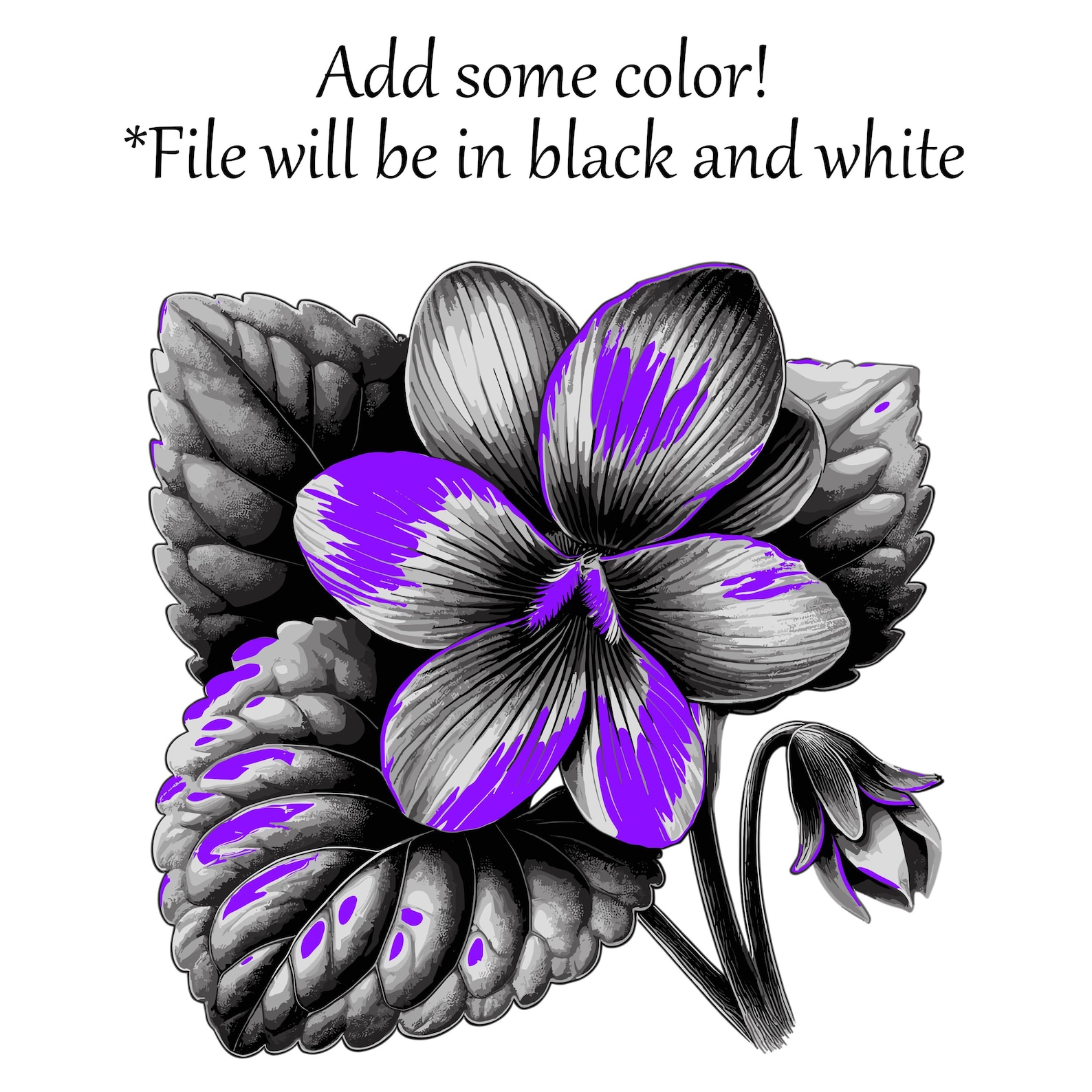 February Birth Flower SVG. Violet Flower SVG Cut File and PNG | Floral ...