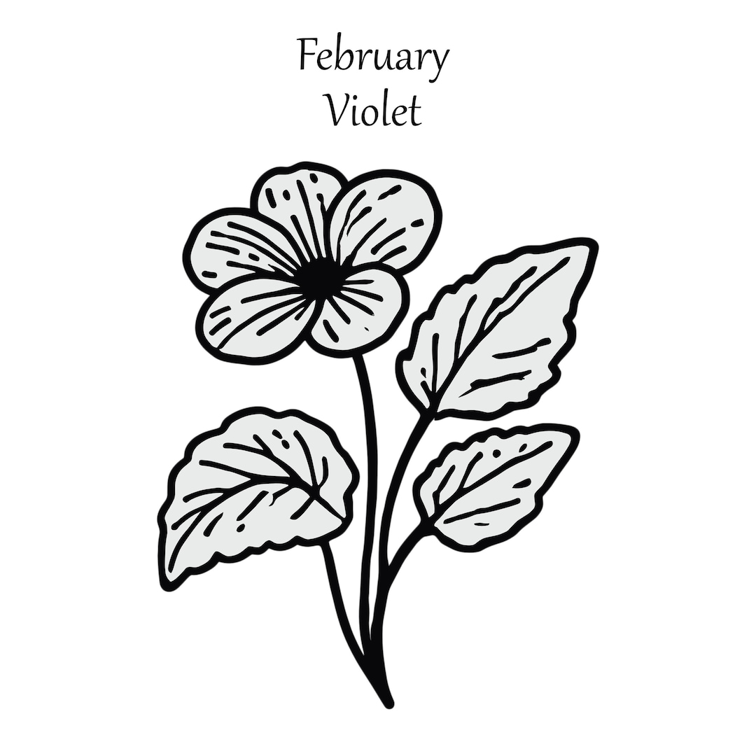February Birth Flower Simple SVG and PNG. Violet Flower SVG Cut File ...