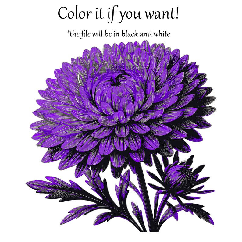 September Birth Flower SVG. Aster Flower SVG Cut File | Floral Digital ...