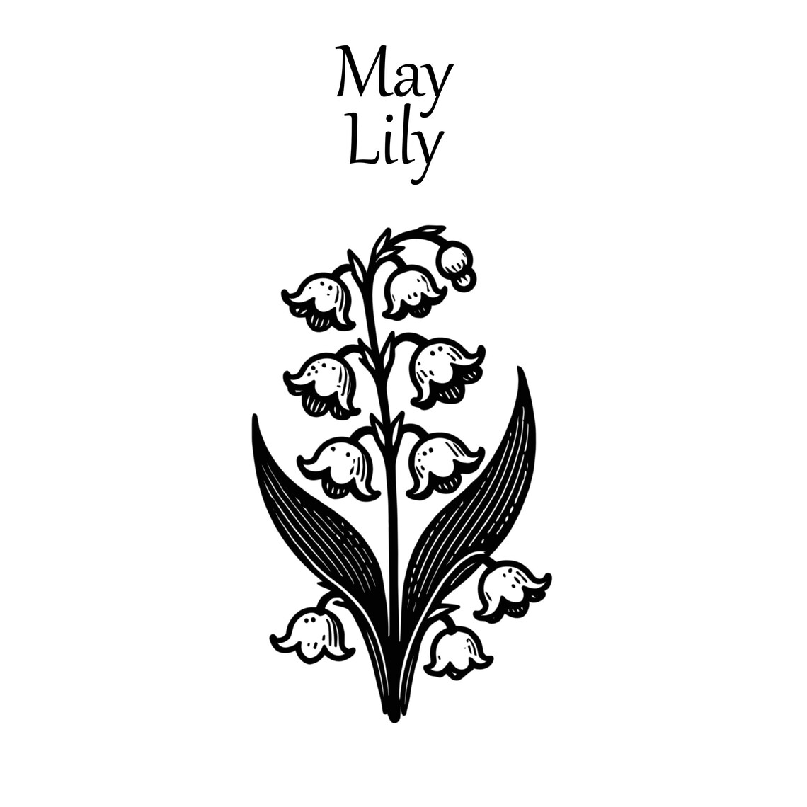 May Birth Flower SVG and PNG Simple. Lily Flower SVG Cut File | Floral ...