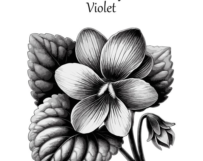 Violet Flower Vector Clipart Set / Outline, Silhouette and Color ...