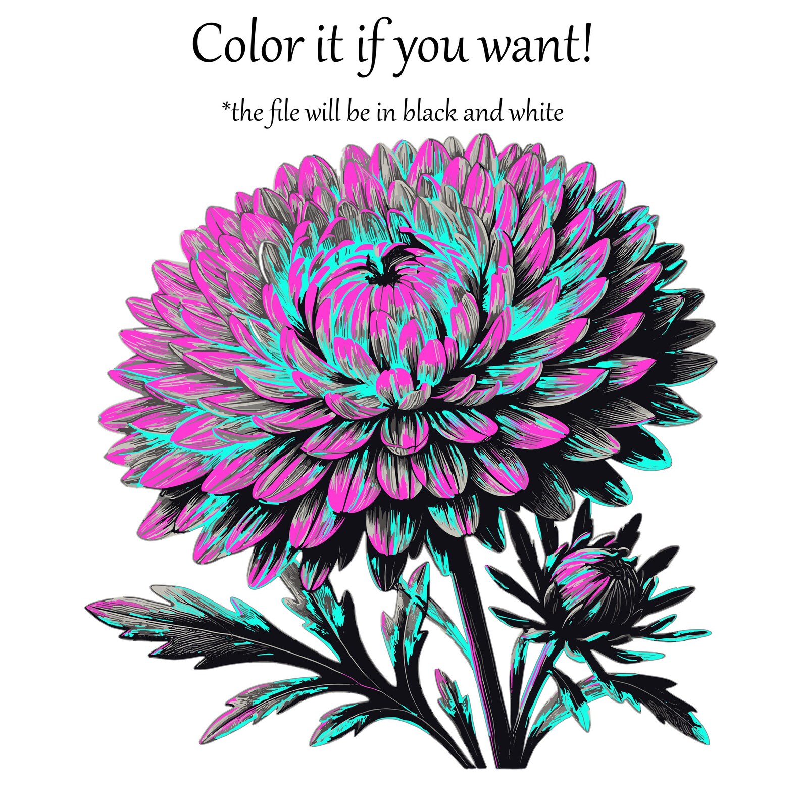 September Birth Flower SVG. Aster Flower SVG Cut File | Floral Digital ...