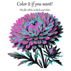 September Birth Flower SVG. Aster Flower SVG Cut File | Floral Digital ...