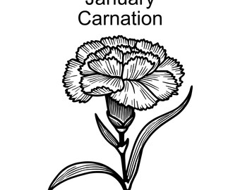 January Birth Flower SVG - Etsy