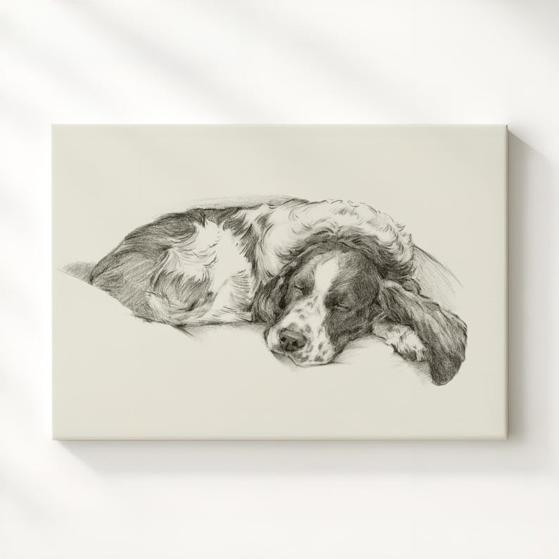 Springer Spaniel Charcoal Art Print, Dog Lover Gift - Etsy