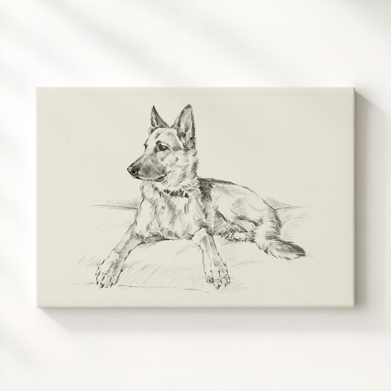 Dibujo a lápiz de un pastor alemán: Impresión artística de Ethan Harper ...