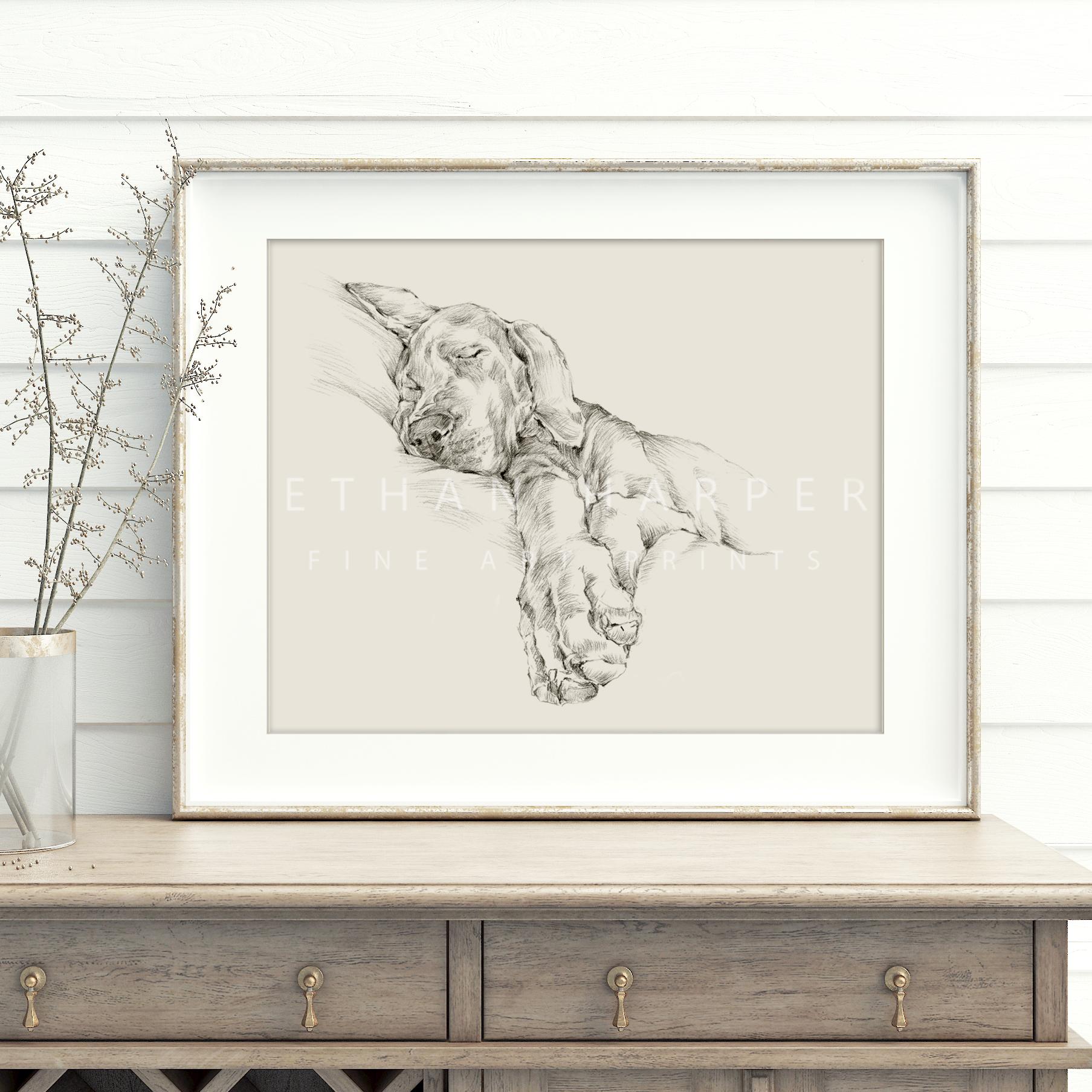 Great Dane Drawing Sketch Art Print - Ethan Harper's Dog Drawing for ...