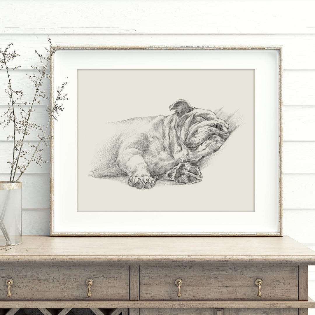Bulldog Sketch Art Print: English Bulldog Print Reproduced From an ...