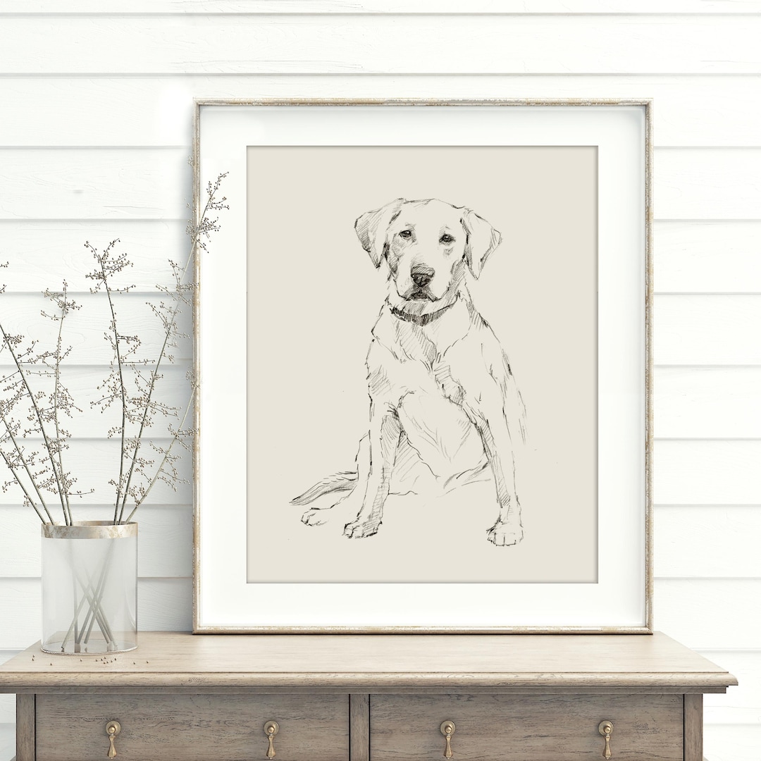 Labrador Retriever Art Print: Yellow, Black & Chocolate Lab Pencil ...