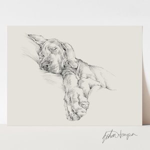 Great Dane Drawing Sketch Art Print - Ethan Harper's Dog Drawing for ...
