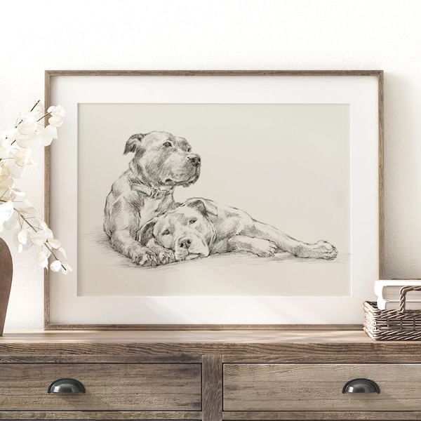 Pibble Drawing - Etsy